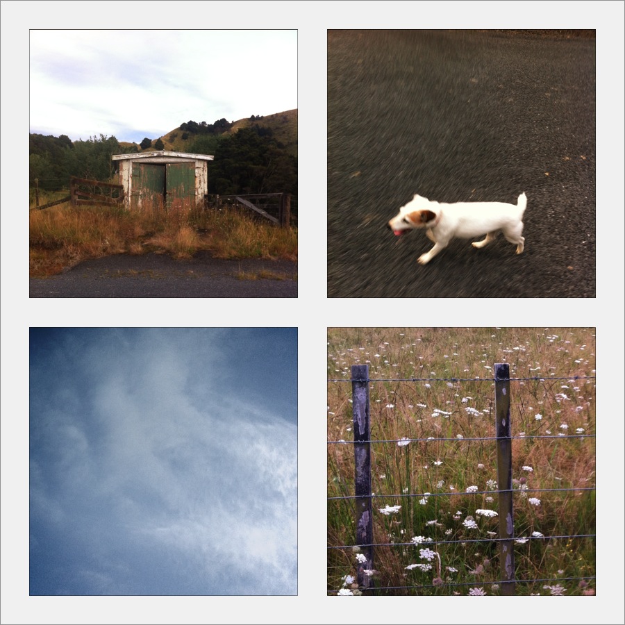 Run iPhone-ography · Kate Robinson Photography